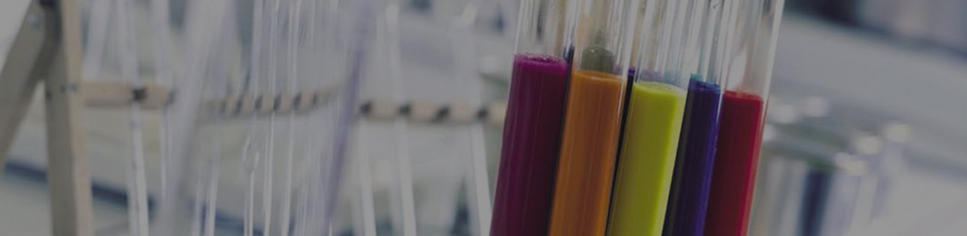 Chromatic System | Seigneurie Gauthier